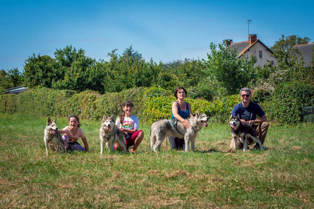 Parrainer - Husky Dream